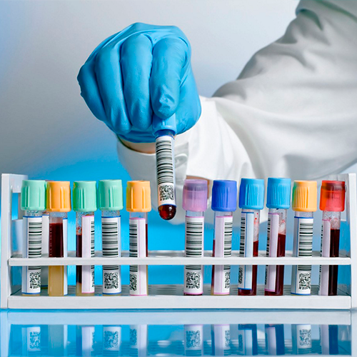 Bilan de routine - Laboratoires Biotop